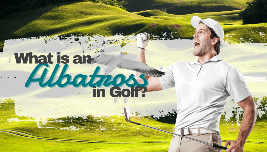 What is an Albatross in Golf? (Golf Albatross Definition + Tips ...