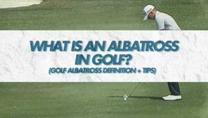 What is an Albatross in Golf? (Golf Albatross Definition + Tips ...