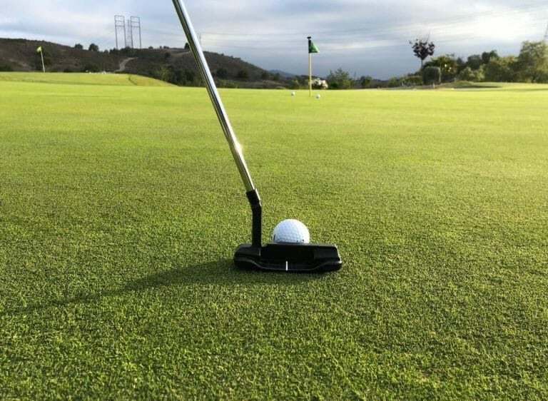 6 Best Golf Clubs for Tall Men (2025 Update) • Honest Golfers