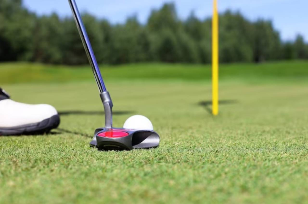 Mallet vs. Blade Putter (2025 Comparison) • Honest Golfers